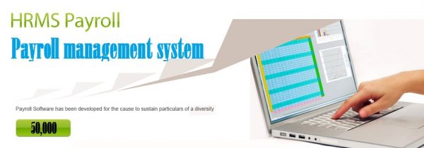 Free Payroll Software Kenya - best payroll and HR system, cheapest HR ...